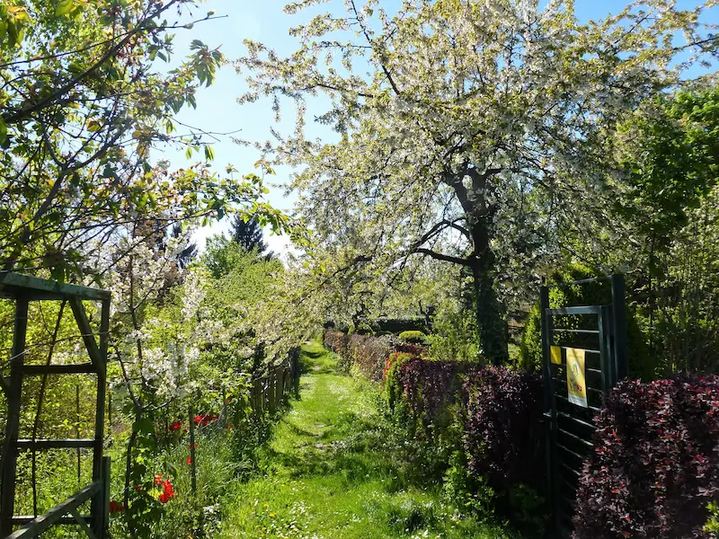 Die Bäume in der Grünen Lunge am Günthersburgpark - KulturRegion ...